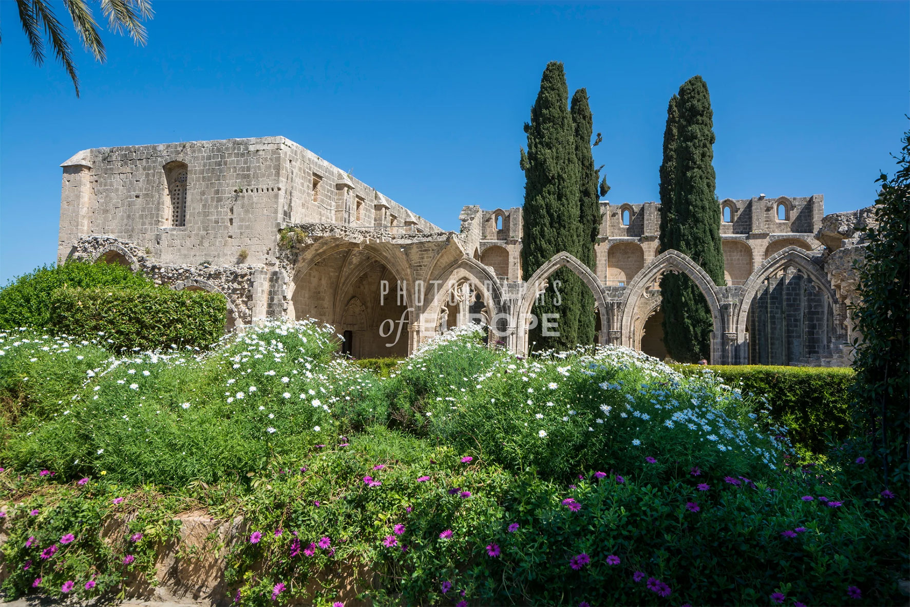 Explore the Timeless Beauty of Bellapais Monastery: A Gem of North Cyprus