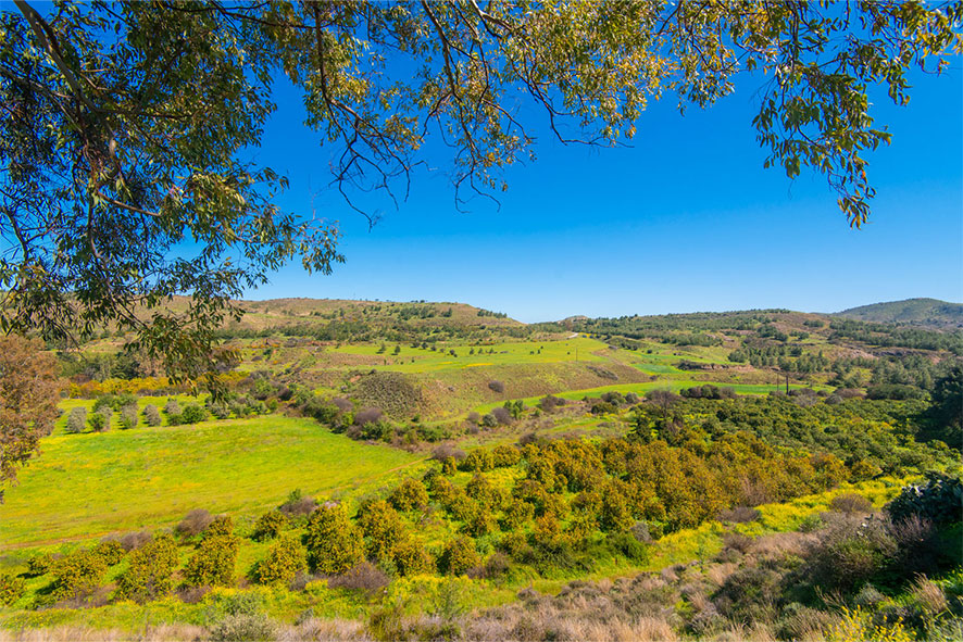 Explore Lefke Cyprus: A Gem in North Cyprus