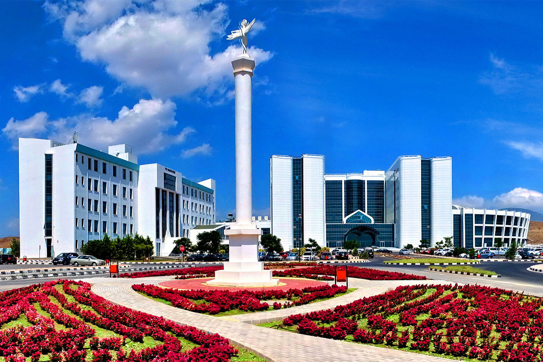 The Best Universities in Northern Cyprus