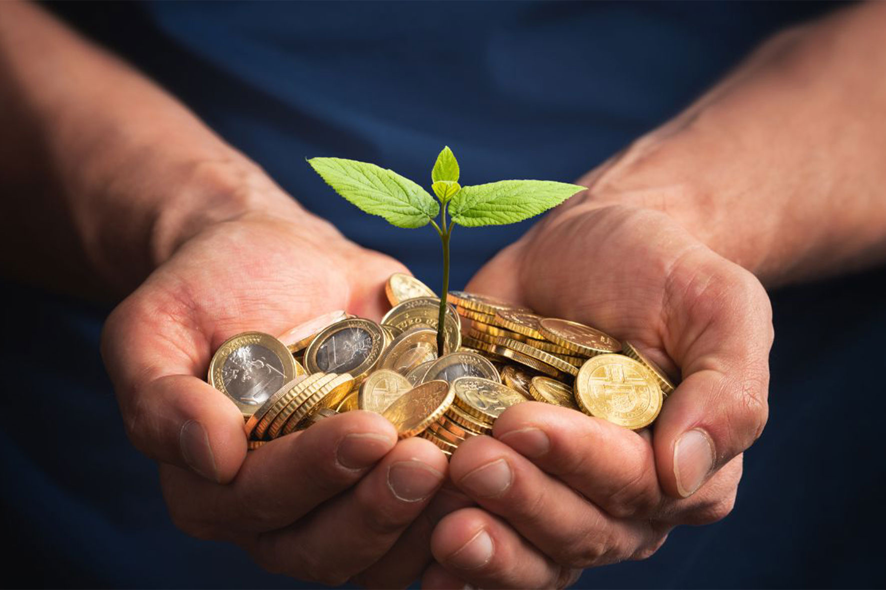 Top Investment Opportunities in 2025: Where to Put Your Money