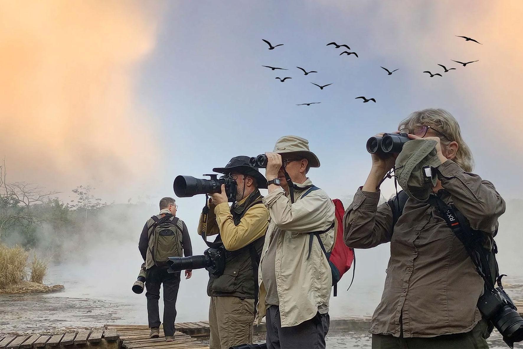 Best Places for Birdwatching in North Cyprus