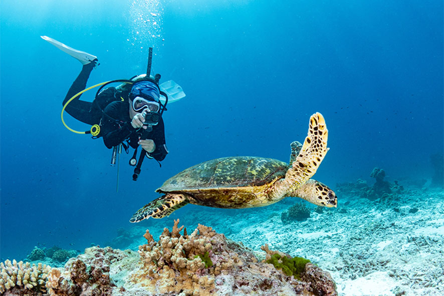 The Best Scuba Diving Locations Near Luxury Homes in North Cyprus