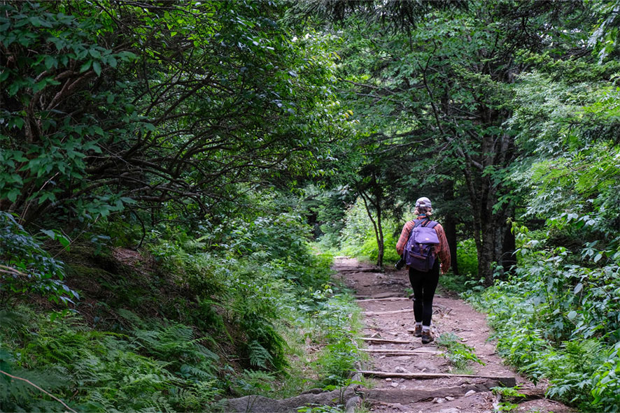 The Best Hiking Trails in North Cyprus for Nature Lovers