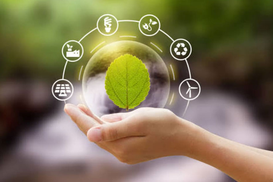 Sustainable Living in North Cyprus: How Expats Embrace Eco-Friendly ...